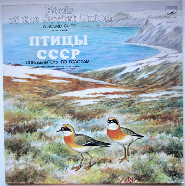 Various Artists - Birds of the Soviet Union - Divers. Waders ...